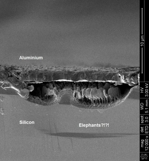 Microscopic Elephants inside Solar Cells. | Circus Bazaar Magazine